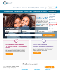 Gerber Life Insurance Guide [Best Coverages + Rates]
